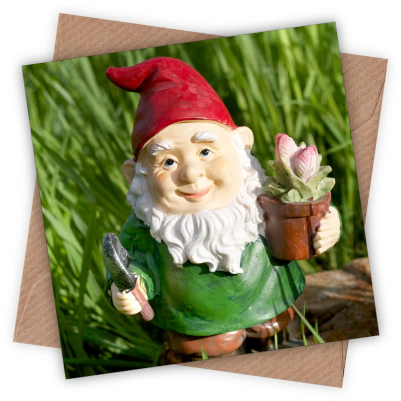 Garden gnome — contemporary greeting card